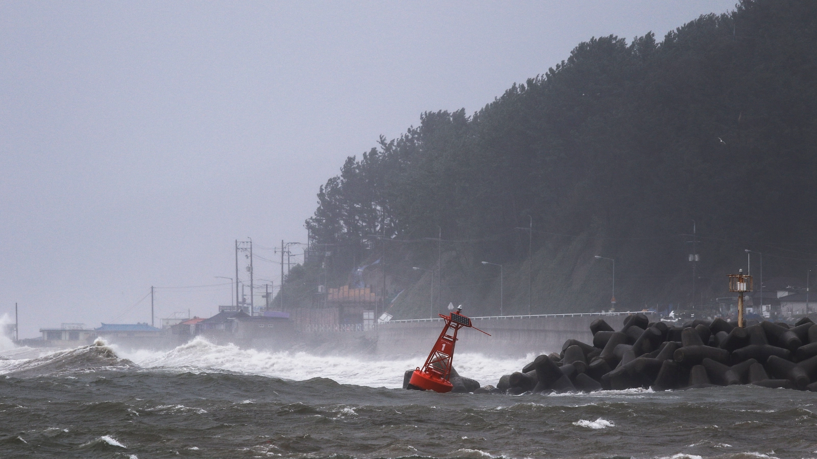 The Impact of Typhoons on Global Supply Chains